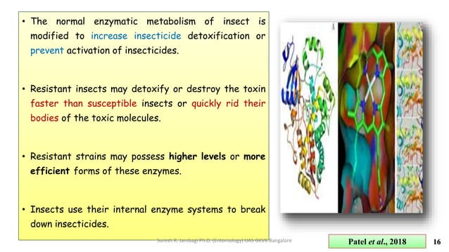 Novel Approaches in Insecticide Resistance Management (IRM) | PPT