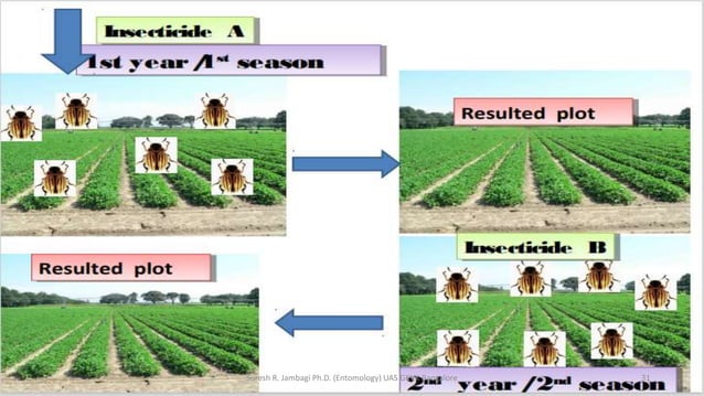 Novel Approaches in Insecticide Resistance Management (IRM) | PPTX | Endocrine and Metabolic ...