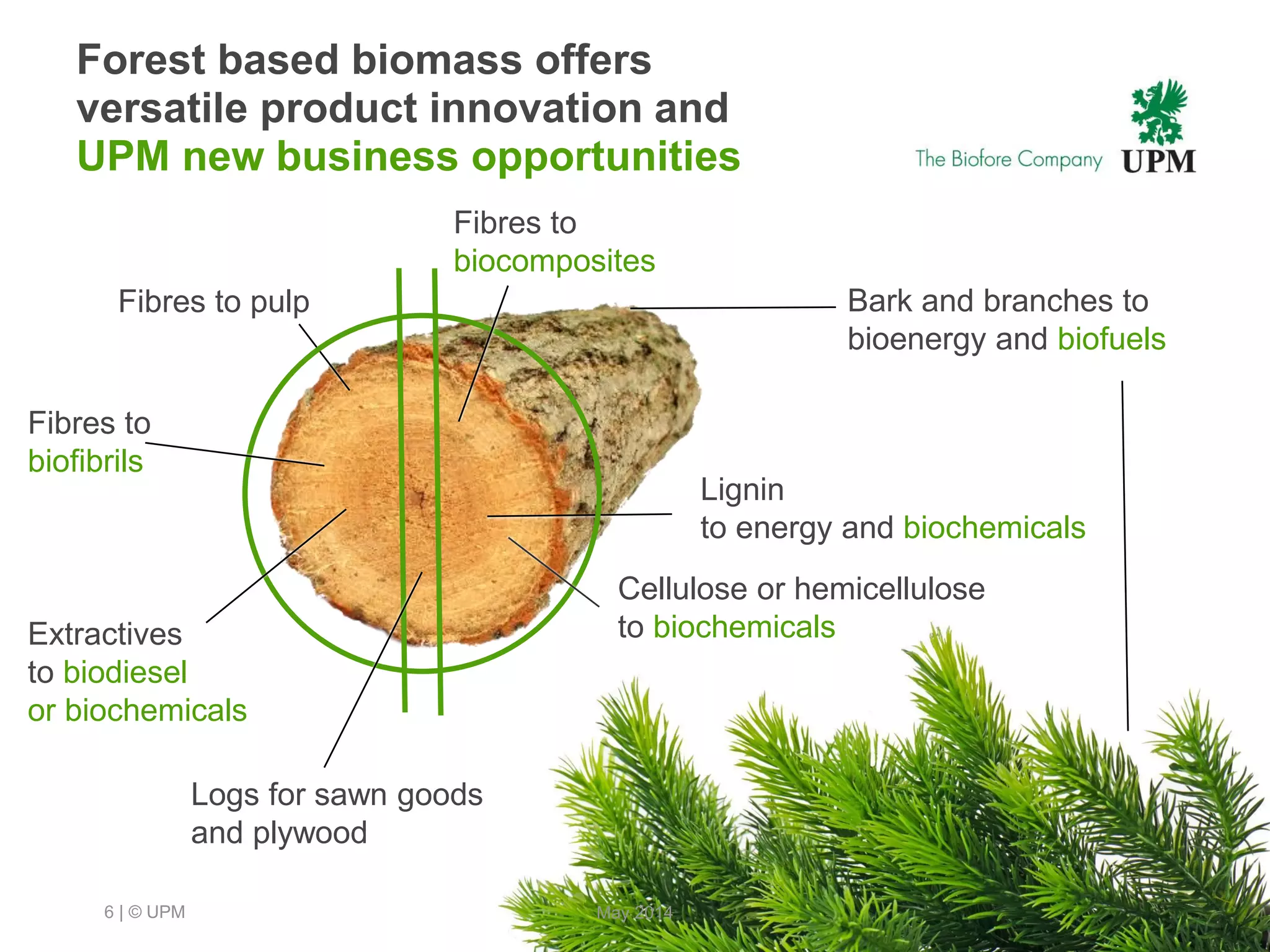 UPM's novel bio based forest products | PDF