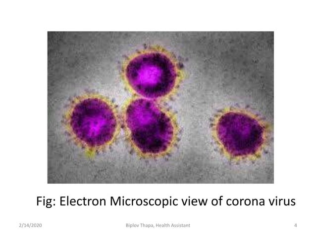 Novel corona virus infection by Biplov Thapa (Health Assistant) | PPT