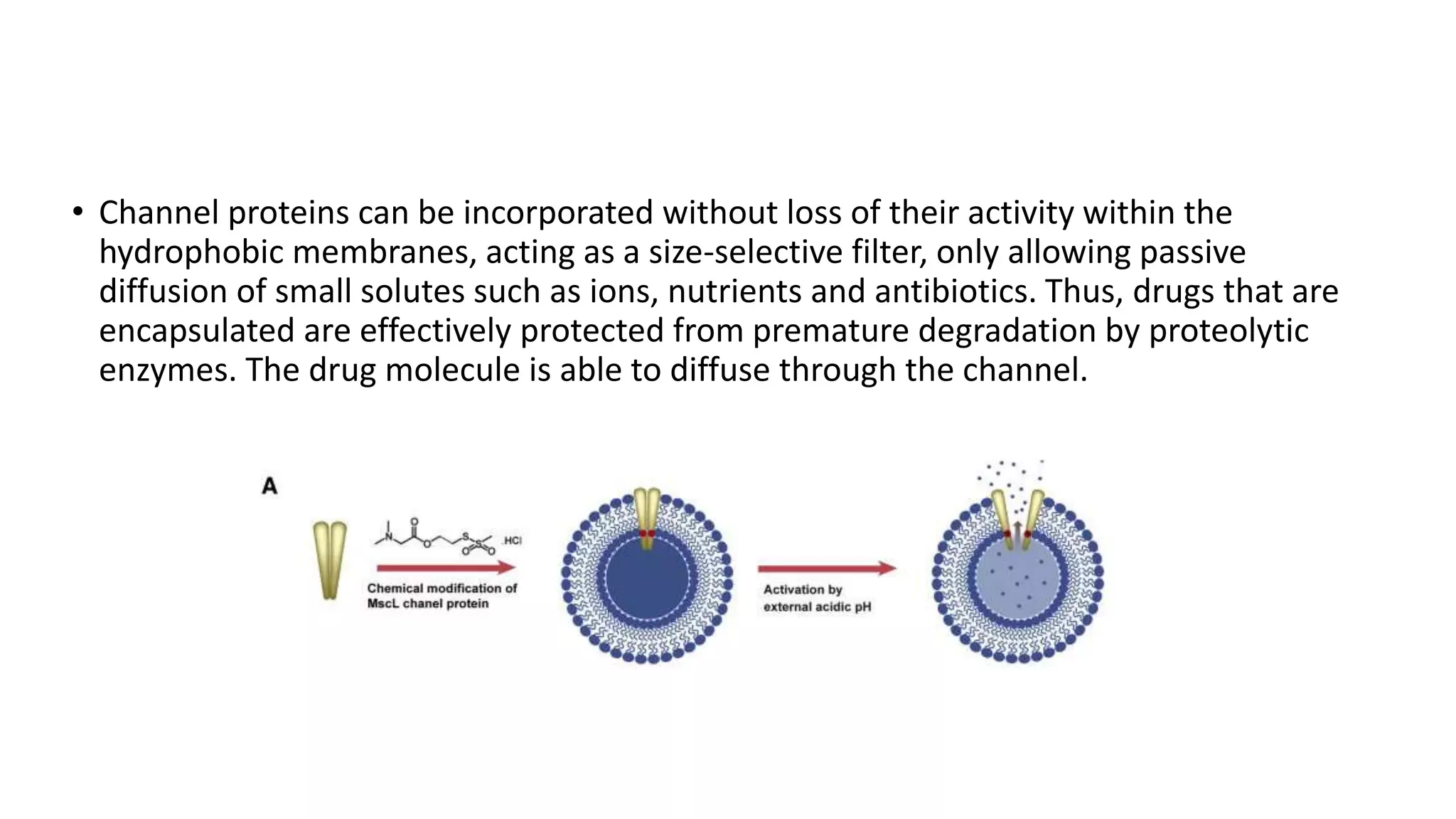 Novel drug delivery system | PPTX