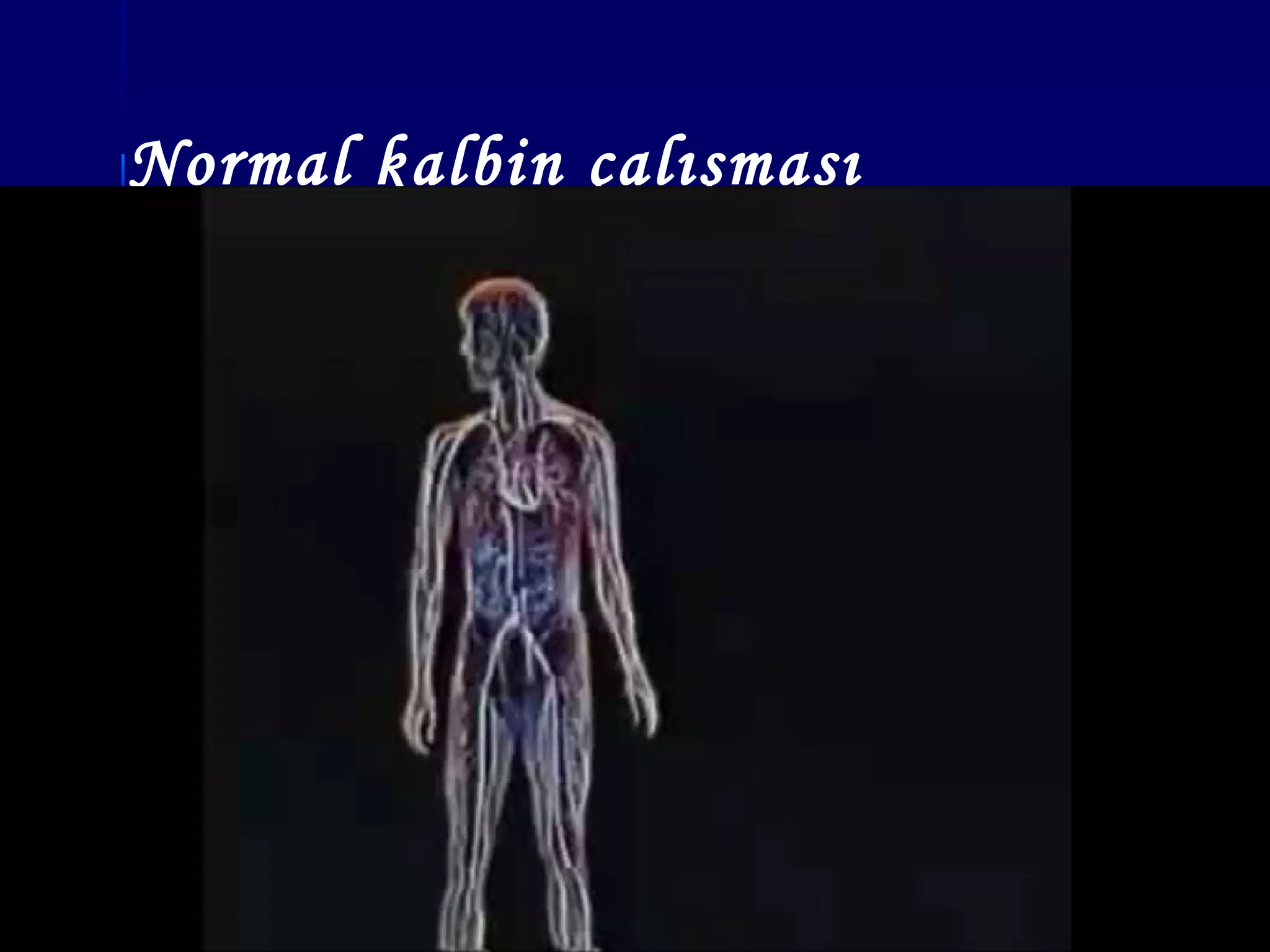 Novel fenestration designs for controlled venous flow shunting in ...