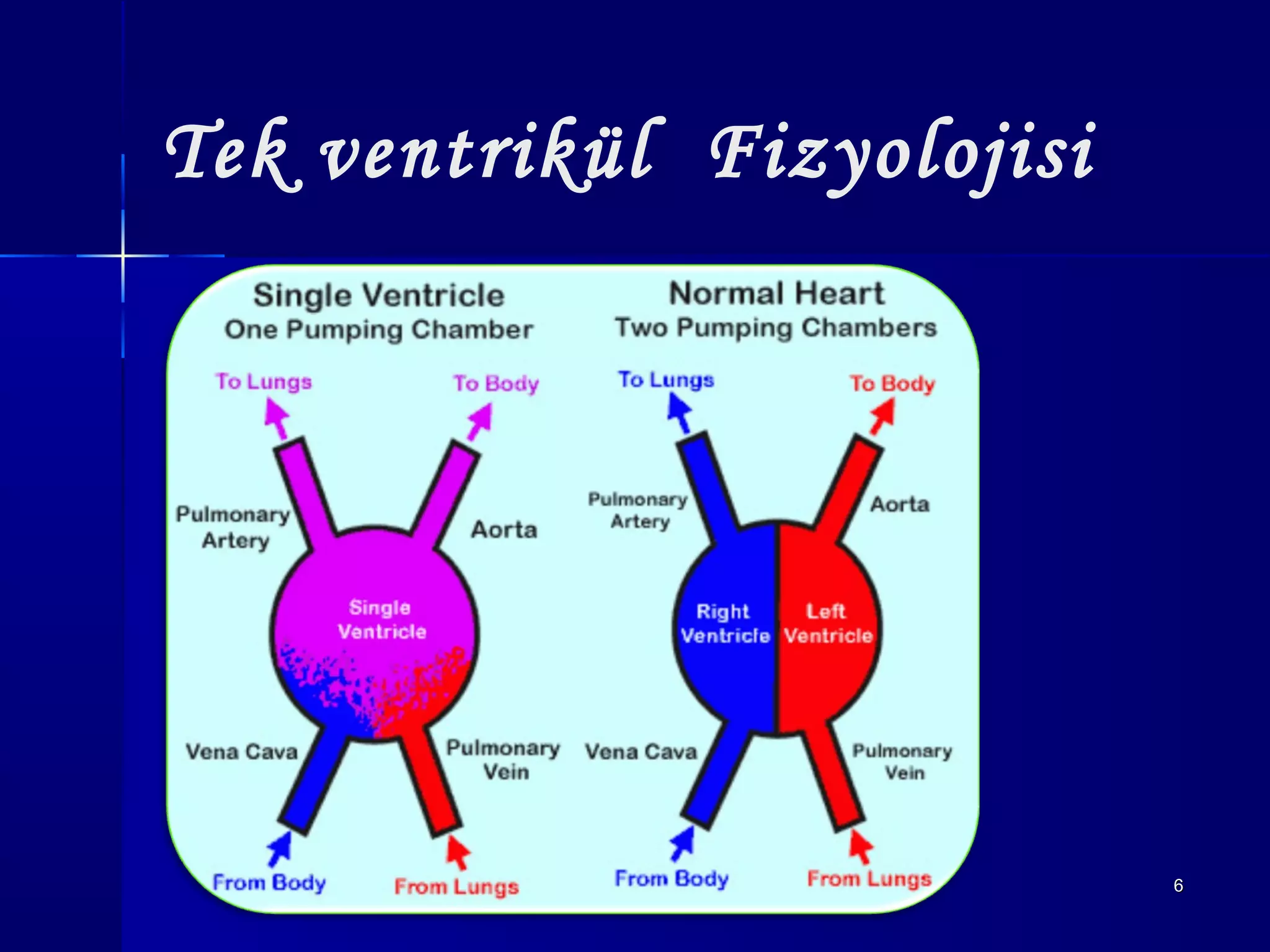 Novel fenestration designs for controlled venous flow shunting in ...