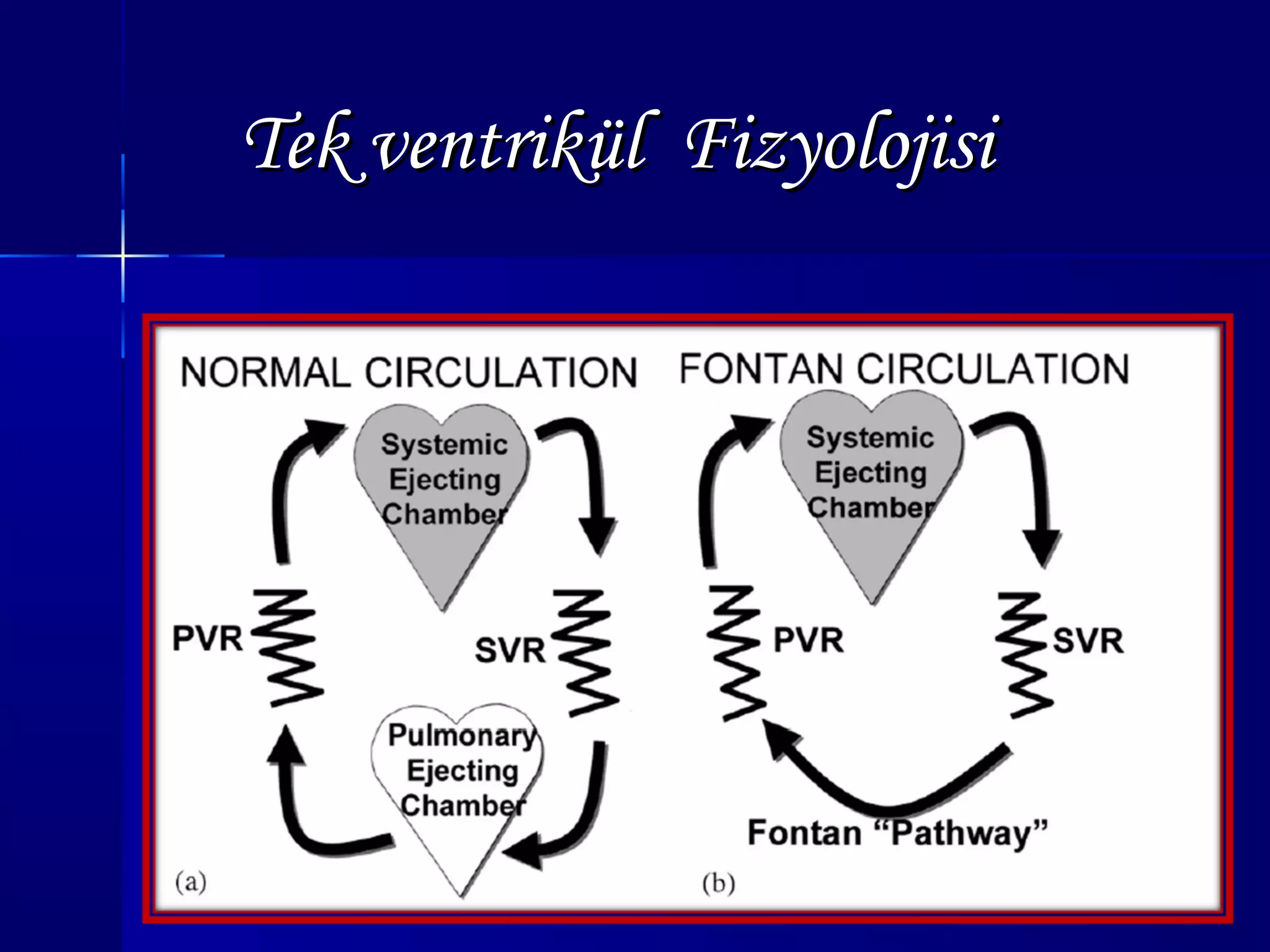 Novel fenestration designs for controlled venous flow shunting in ...