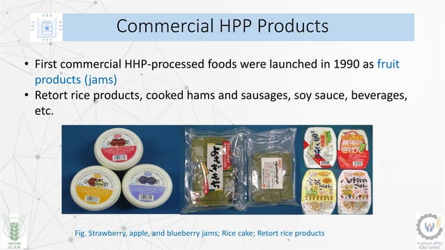 Novel food processing technologies.pptx | Gardening | Home & Garden