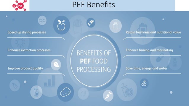 Novel food processing technologies.pptx | Gardening | Home & Garden