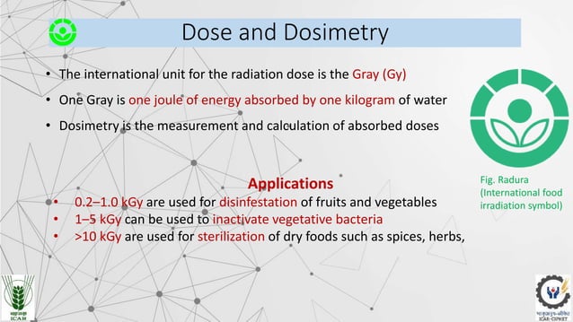 Novel food processing technologies.pptx | Gardening | Home & Garden