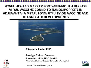 OS16 - 2.P2.e Novel Marker FMD Virus Vaccine Molecularly Bound to ...