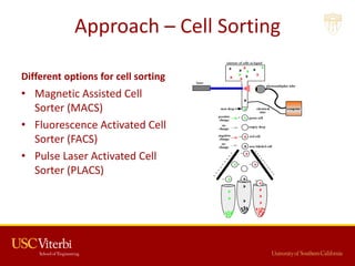 Novel idea for diagnosis of sickle cell disease | PPTX