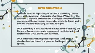 Novelle Richards AUA DNA Barcoding.pptx
