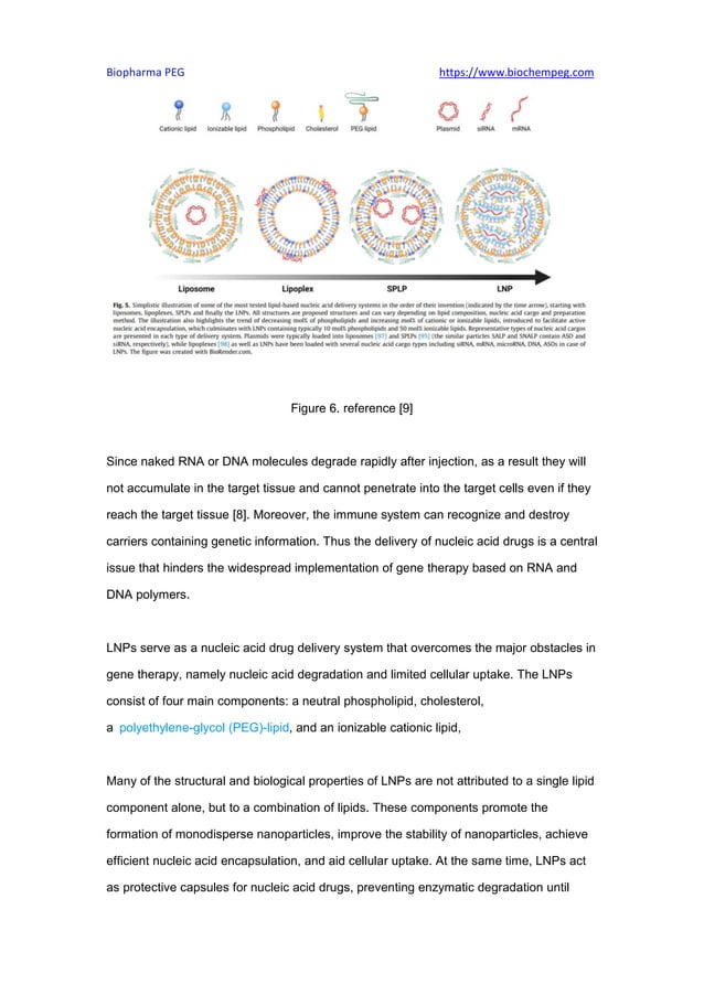 Novel Nanotechnology-based Drug Delivery Systems.pdf