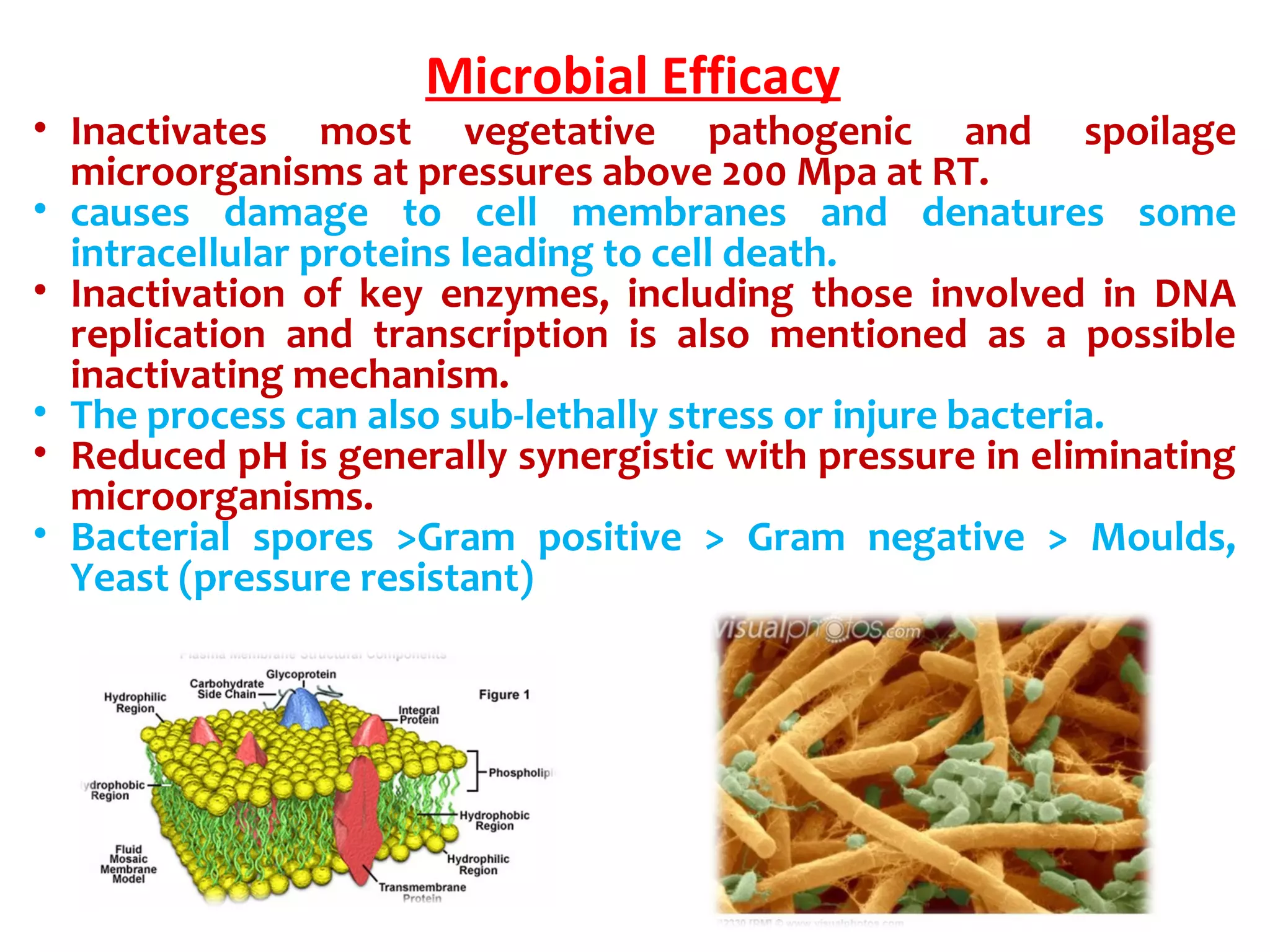 Novel non thermal preservation technologies | PPT