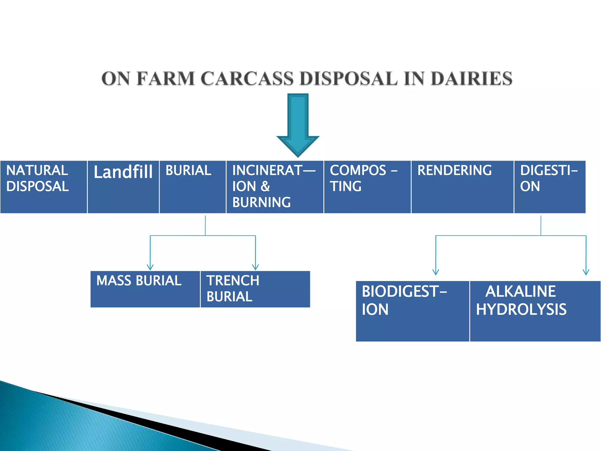 Novel onfarm methods of carcass disposal from dairies | PPT
