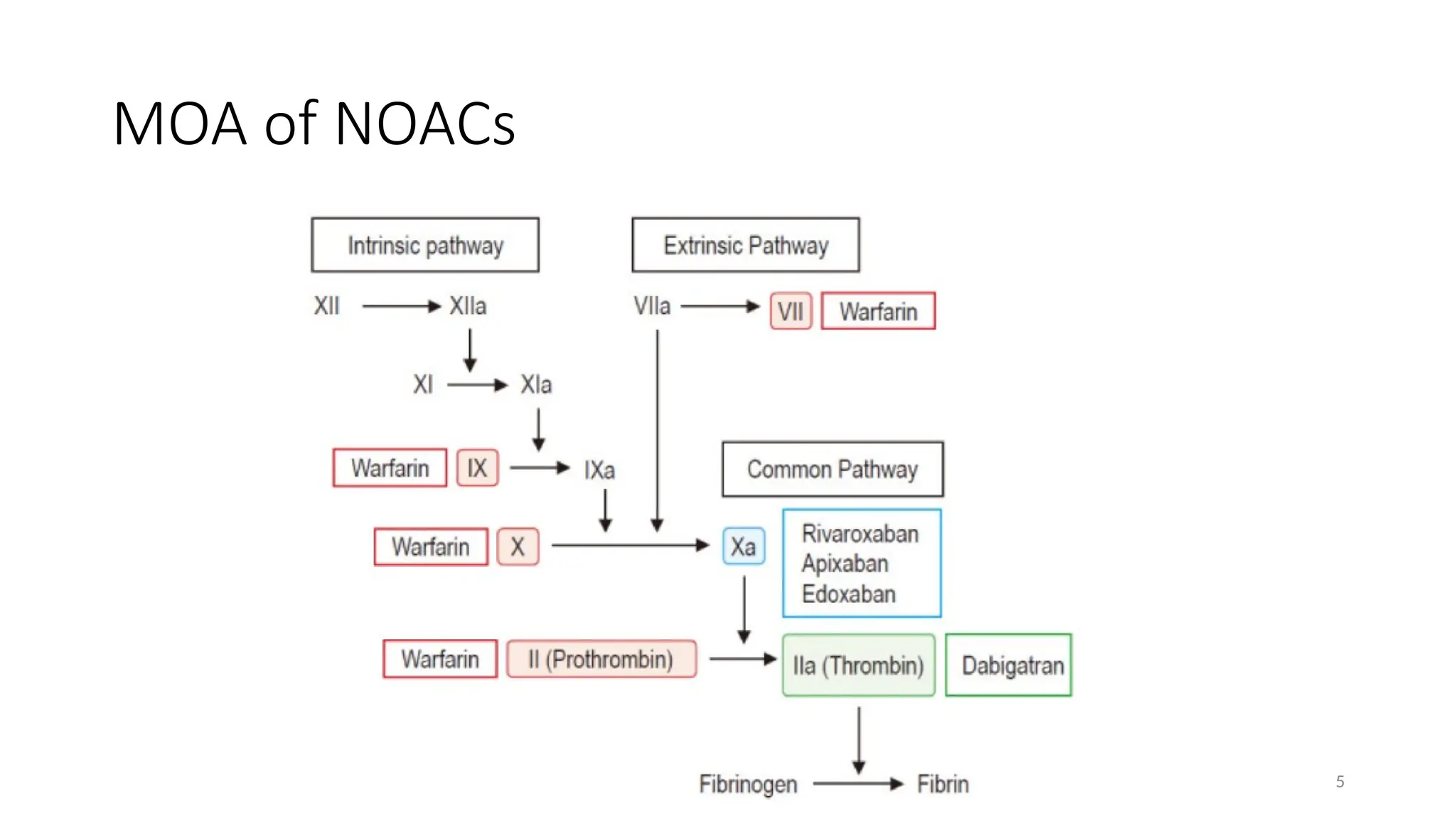Novel Oral Anticoagulants final (NOAC).pptx