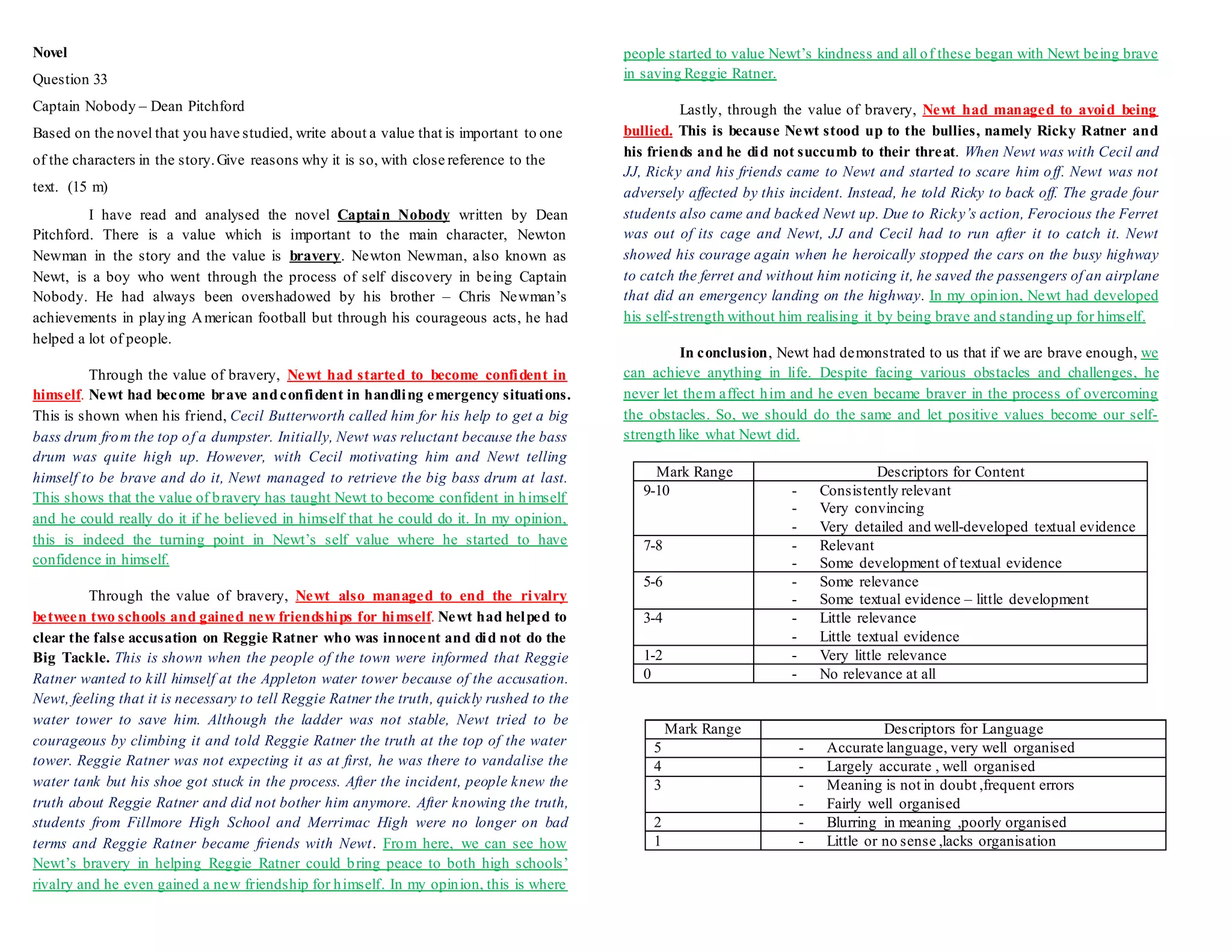 Captain Nobody sample answer | DOCX