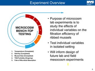 NYC DEP update on Ribbed Mussel potential for treating pathogens in ...