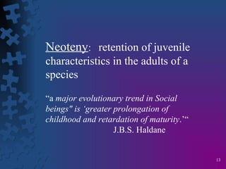 Neurodiversity in the Classroom [Handouts] | PPT