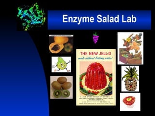 Enzyme Salad Laboratory | PPT