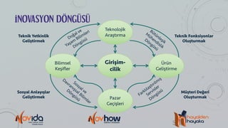 Novida-Enine Boyuna Inovasyon | PDF