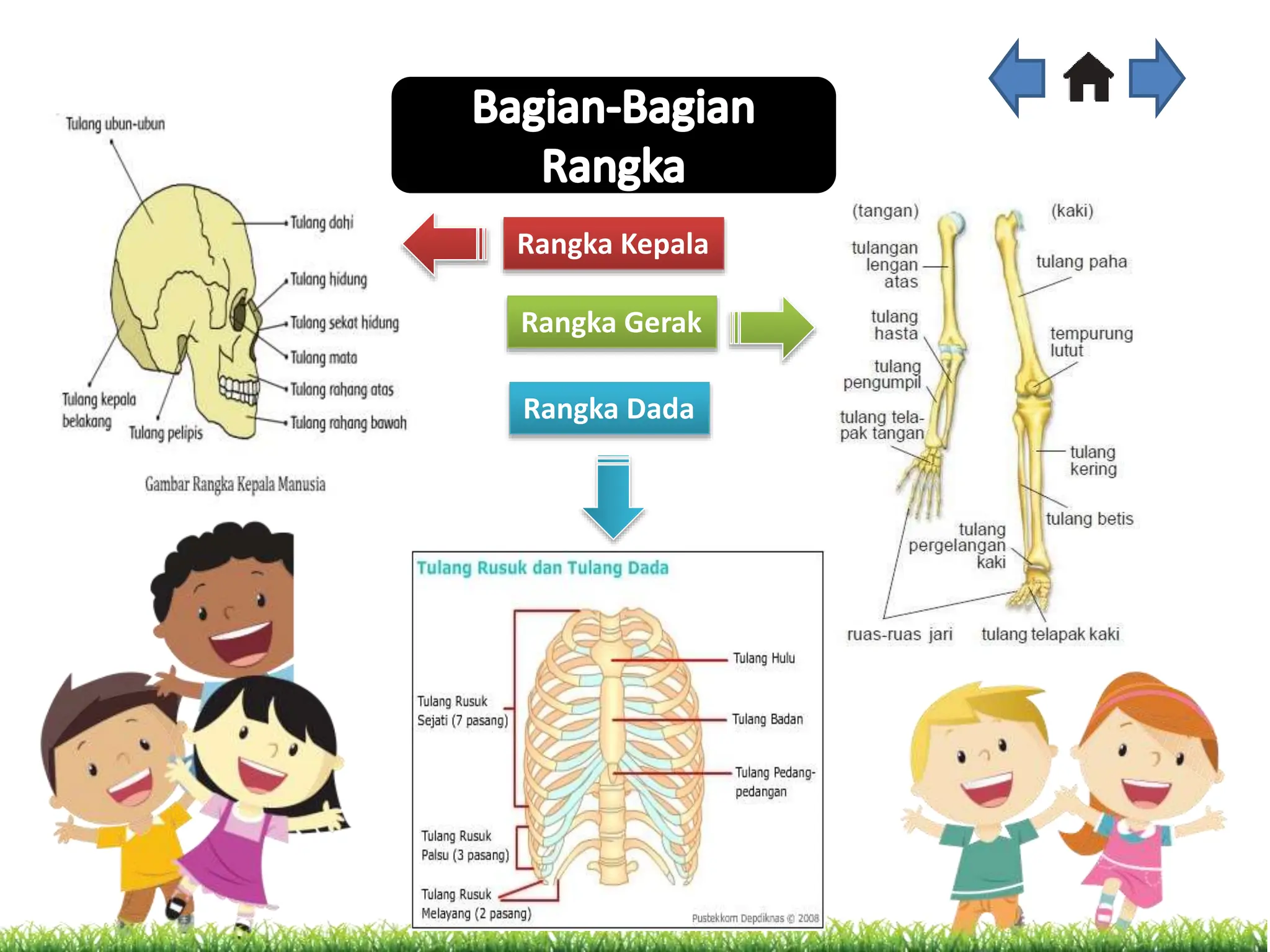 RANGKA MANUSIA IPA KELAS 4 TUGAS PRESENTASI | PPTX