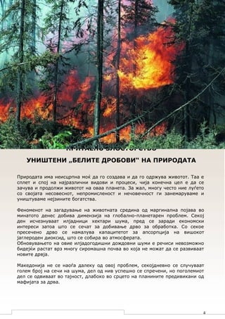 Statija za suma | DOC