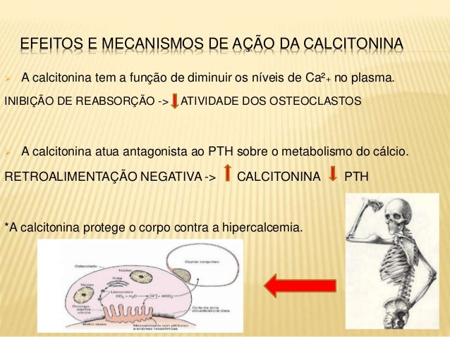 Fisiologia do Hormônio Calcitonina.