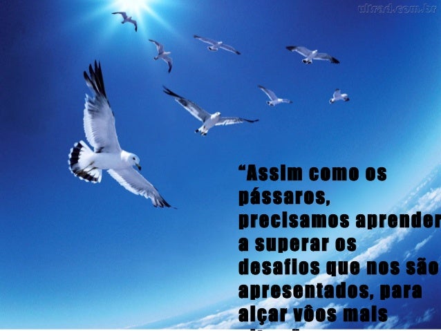 Novos desafios Novos desafios