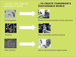 Novozymes in brief | PPTX