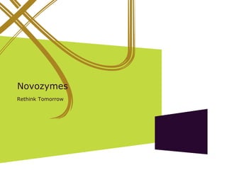 Novozymes in brief | PPTX