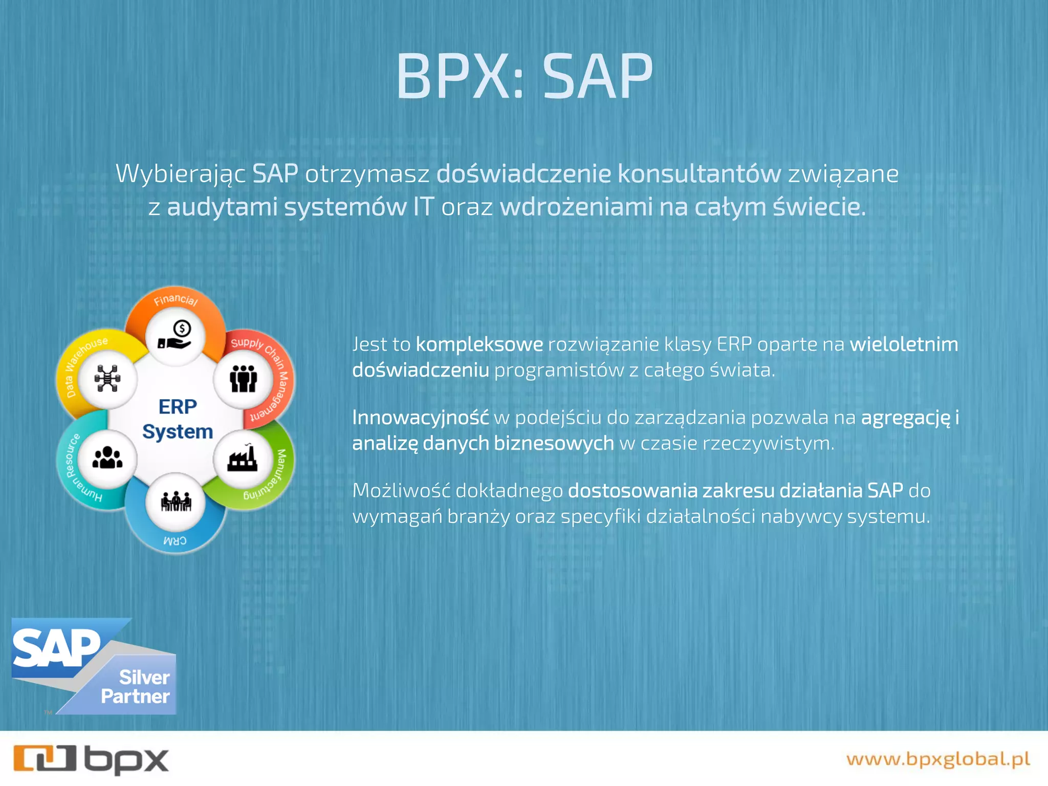 SAP ERP / SAP All-in-One | PDF