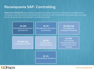 SAP ERP / SAP All-in-One | PDF