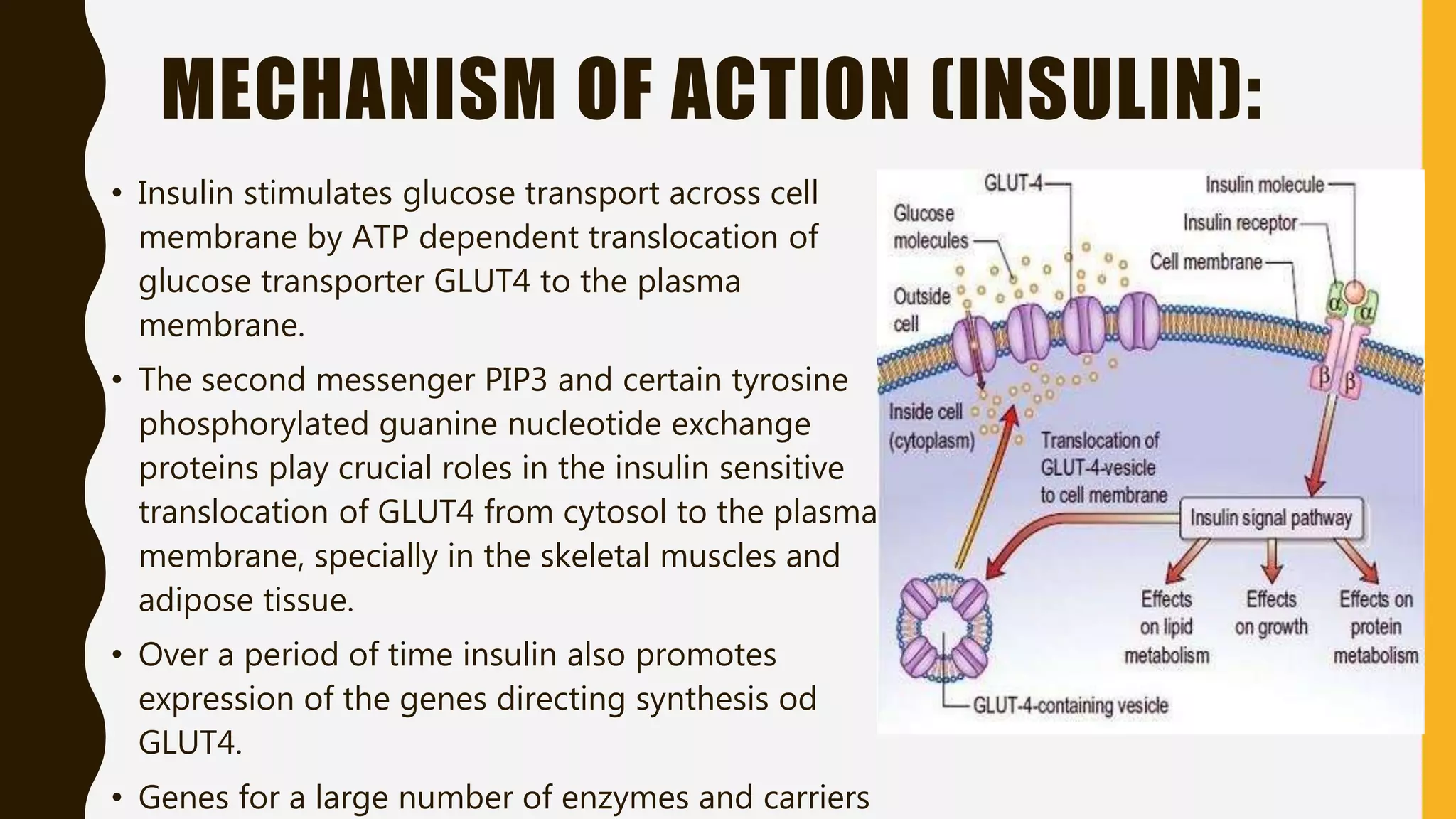 Diabetes Mellitus (DM) | PPTX