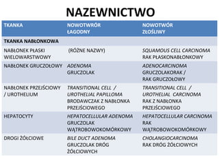 PODSTAWY PATOLOGII NOWOTWORÓW | PPT