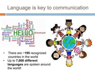 Now You're Speaking My Language! | PPT