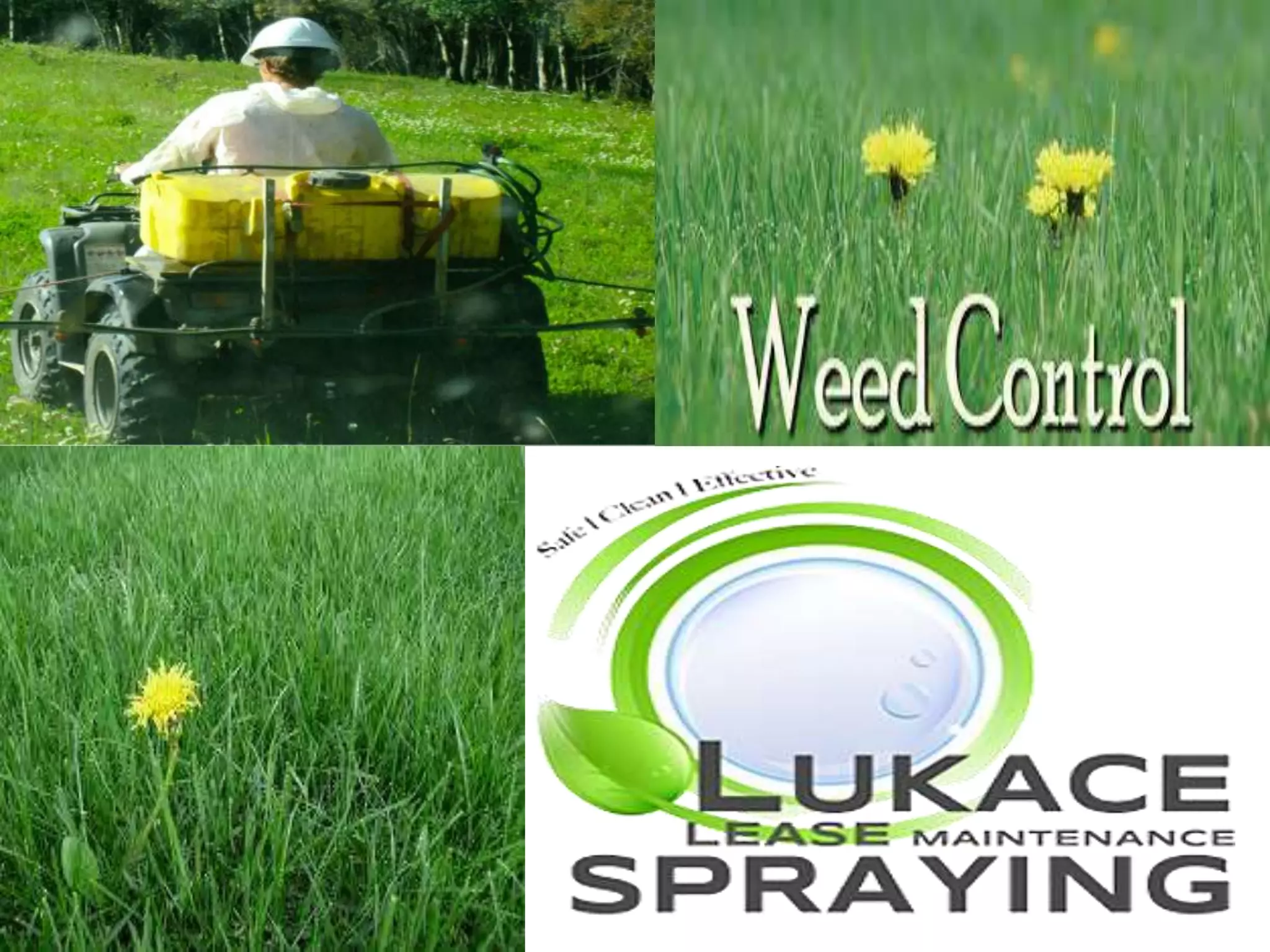Noxious Weeds Alberta | PPTX