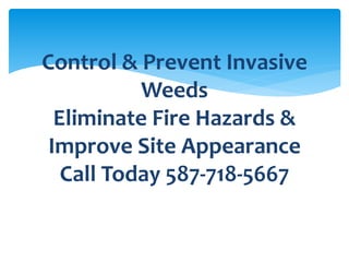 Noxious Weeds Alberta | PPTX
