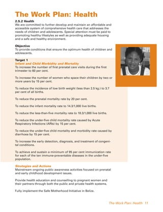 National Plan of Action | PDF