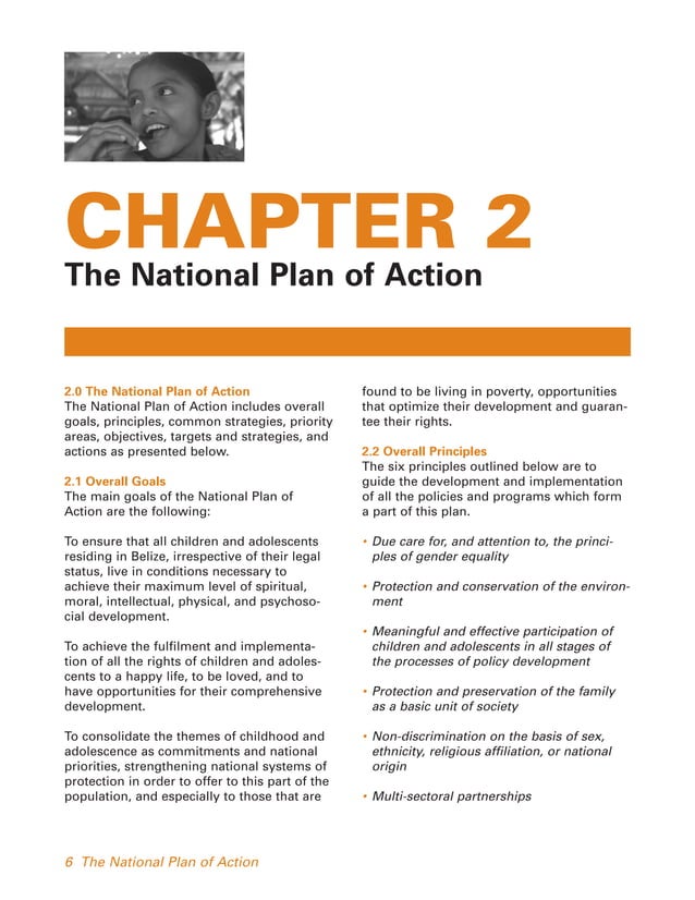 National Plan of Action | PDF