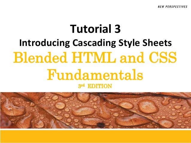 Introducing Cascading Style Sheets Introducing Cascading Style Sheets