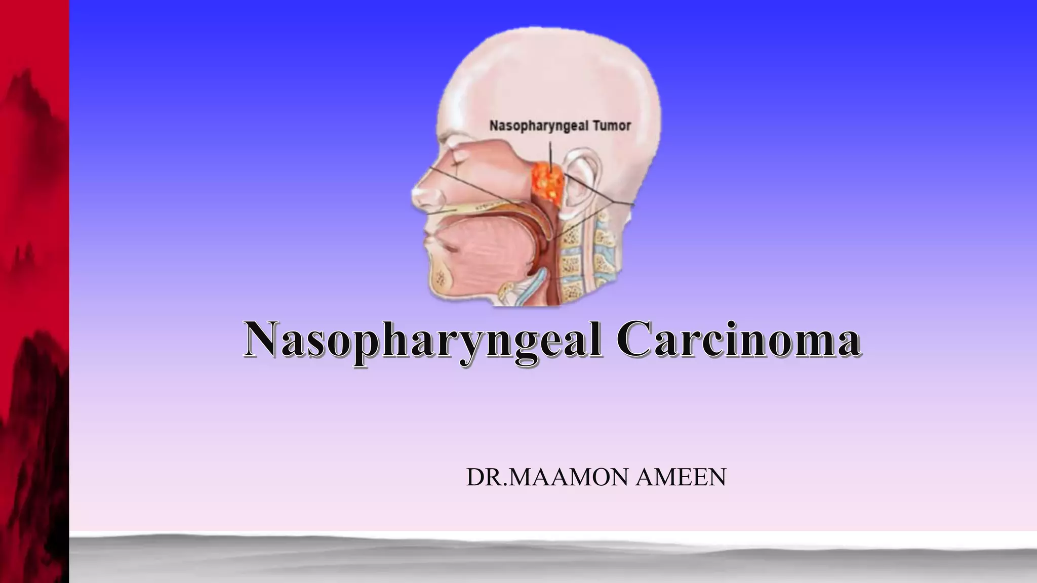 npc-170324145154.pdf