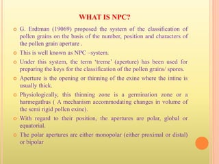 NPC and Palynology along with its importance . | PDF