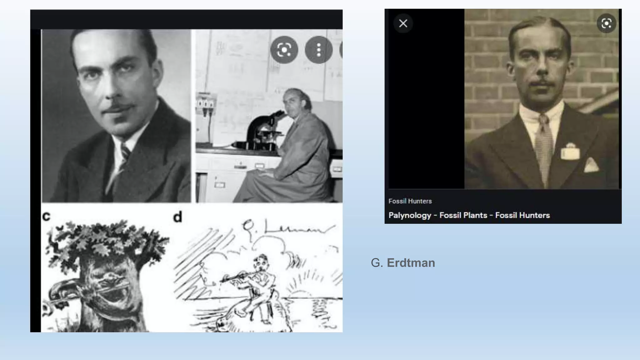 NPC classification/ systemm , Bsc. botany | PPTX