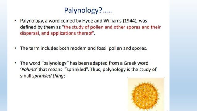 NPC classification/ systemm , Bsc. botany | PPTX