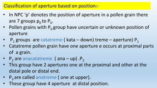 NPC classification/ systemm , Bsc. botany | PPTX