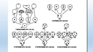 NPC classification/ systemm , Bsc. botany | PPTX