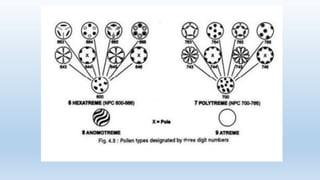 NPC classification/ systemm , Bsc. botany | PPTX