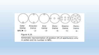 NPC classification/ systemm , Bsc. botany | PPTX
