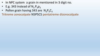 NPC classification/ systemm , Bsc. botany | PPTX