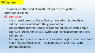 NPC classification/ systemm , Bsc. botany | PPTX