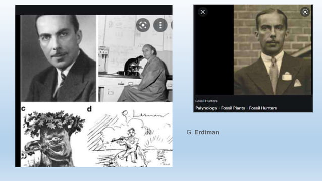 NPC classification/ systemm , Bsc. botany | PPTX